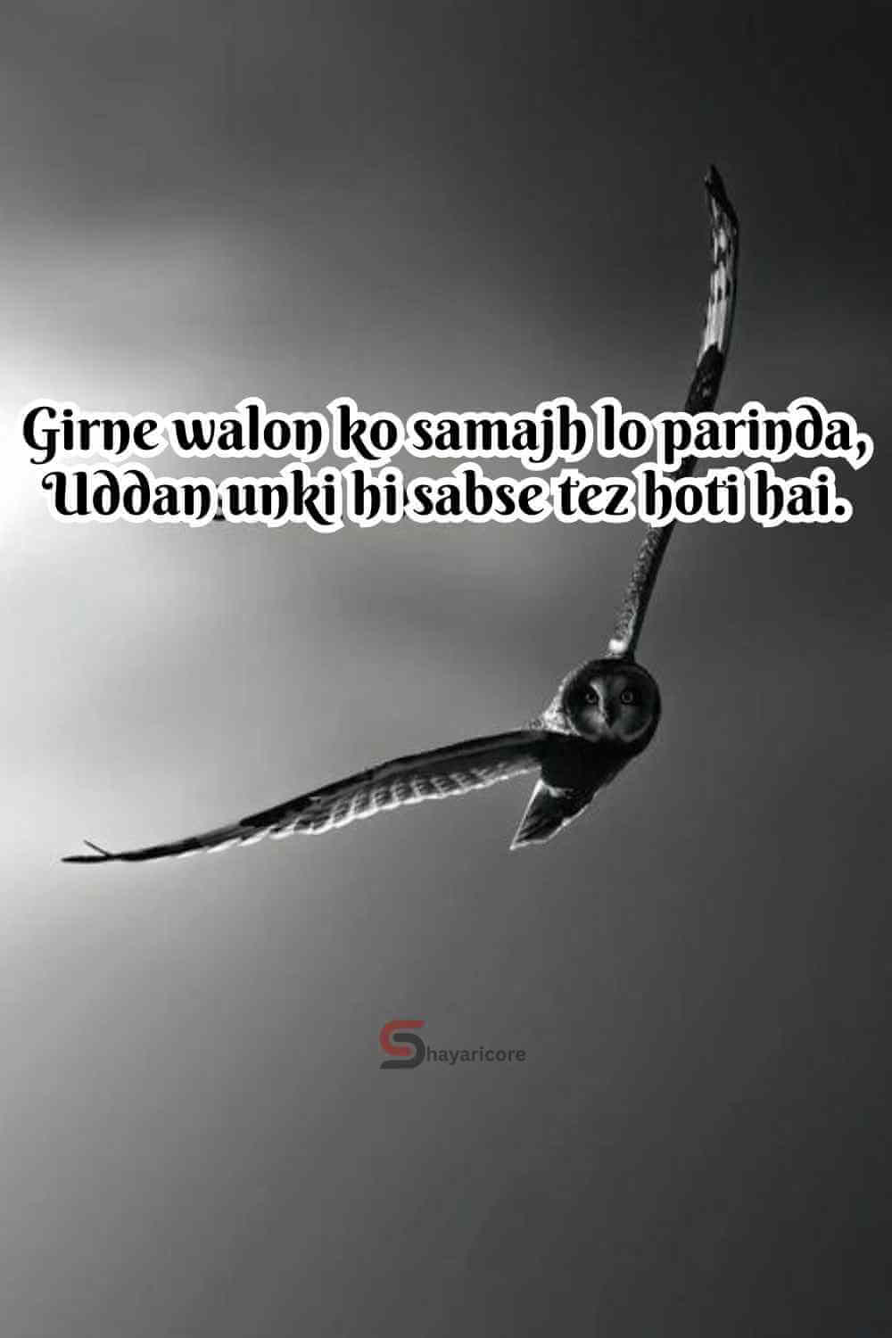 140+ Best Motivational Shayari In English to Inspire Your Day